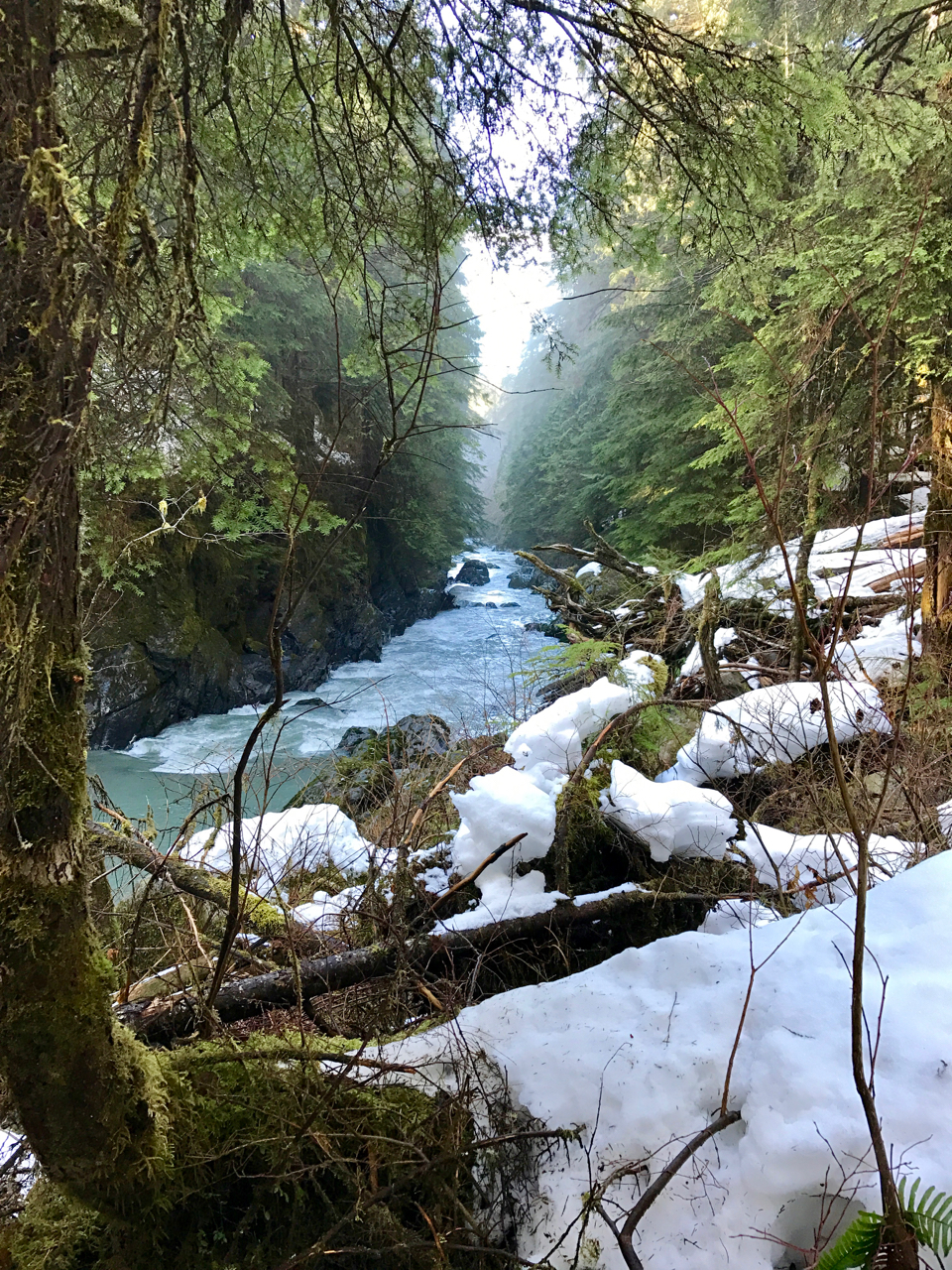 Boulder River Trail | The Adventure Continues