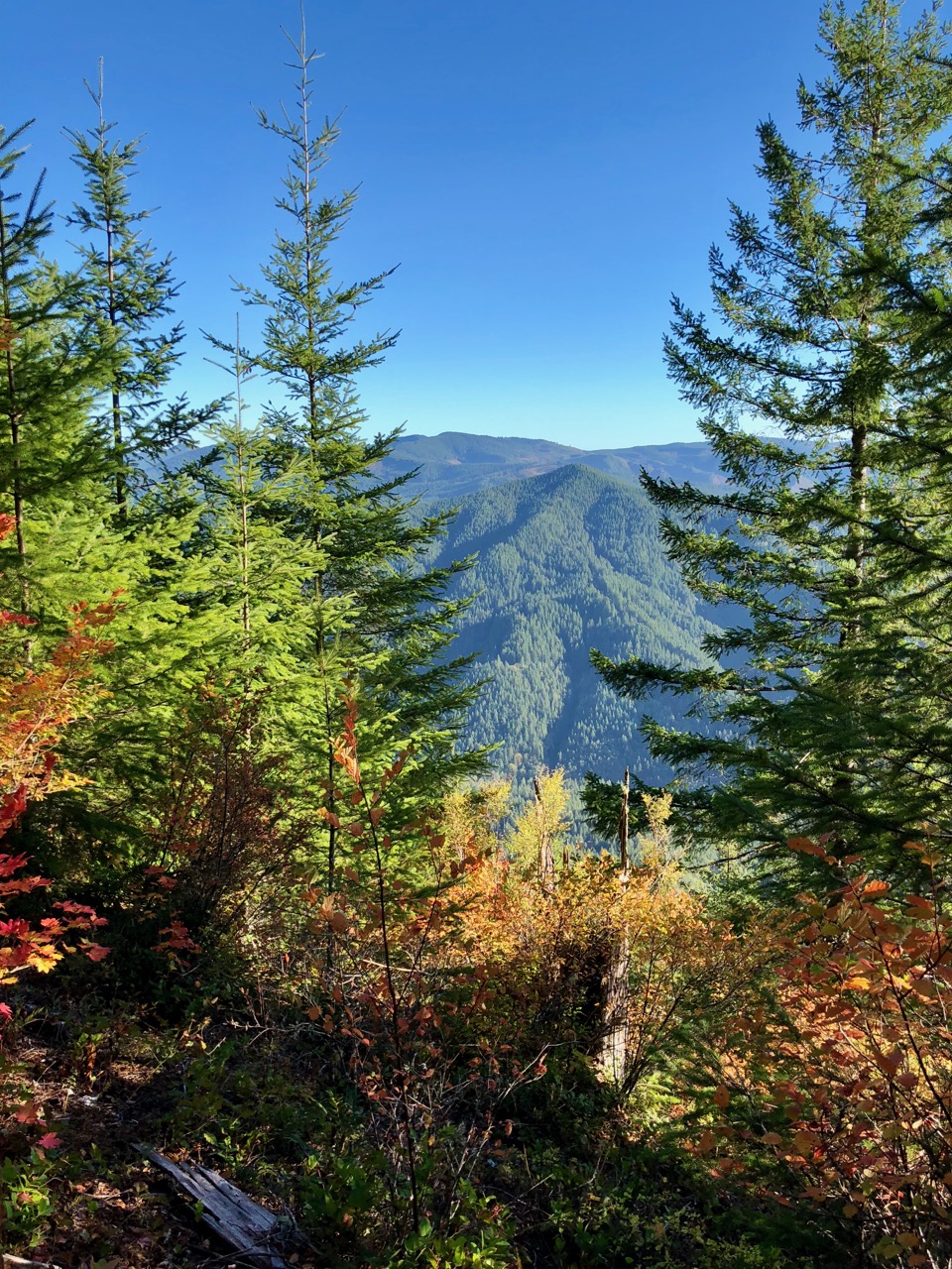Kings Mountain Elk Creek Loop | The Adventure Continues