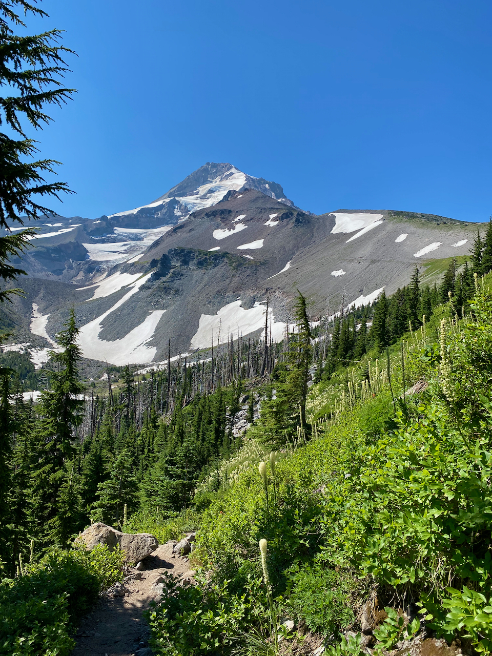 Timberline Trail 2021 | The Adventure Continues